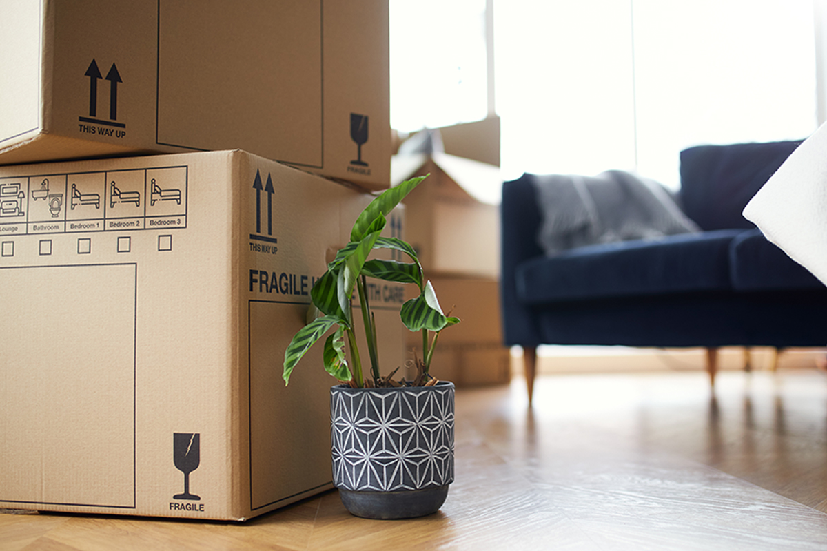 Central Transportation Systems | Moving & Storage Texas